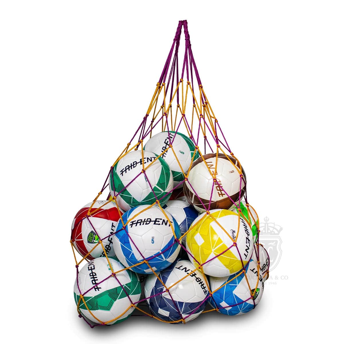 Trident Master Ball Carry Net – 15 Balls (Purple/Yellow) - Skoolah